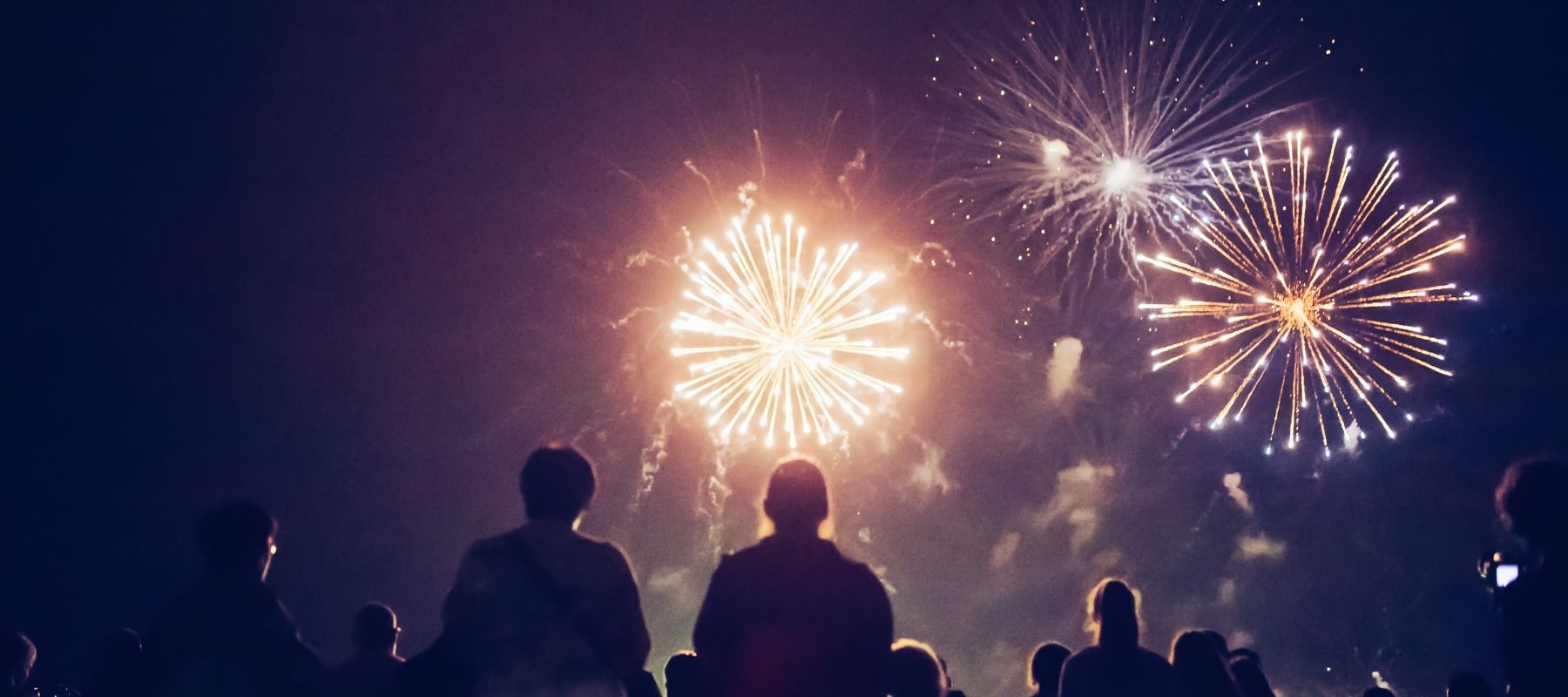 Fireworks Night: Top Tips For Dog Owners from Dogs Trust - Dogfest