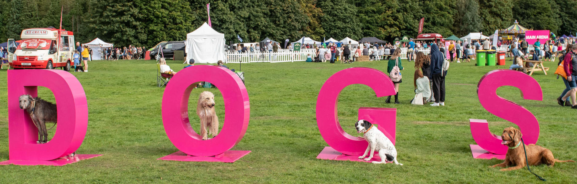 Top 6 things to do at DogFest - Dogfest