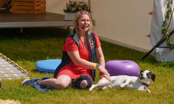 Ragley Hall - Dogfest