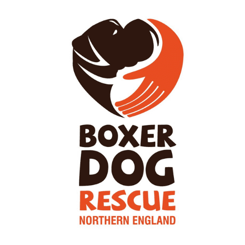 Tatton Park - Dogfest