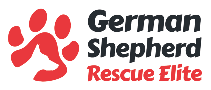 Loseley Park - Dogfest