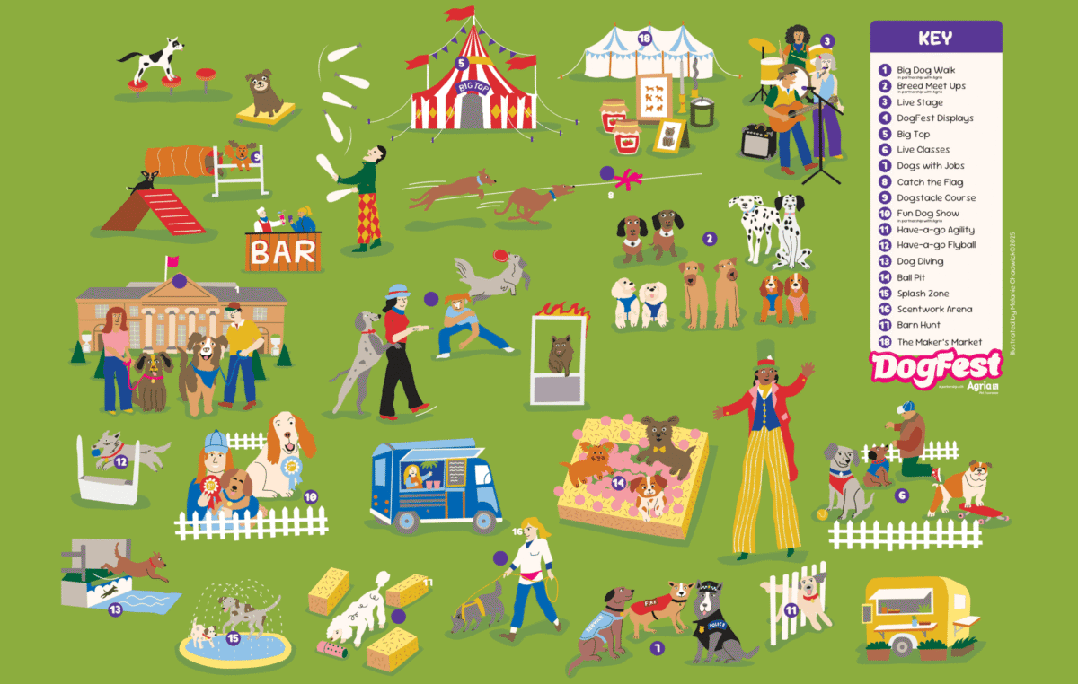 DogFest Illustration - Dogfest