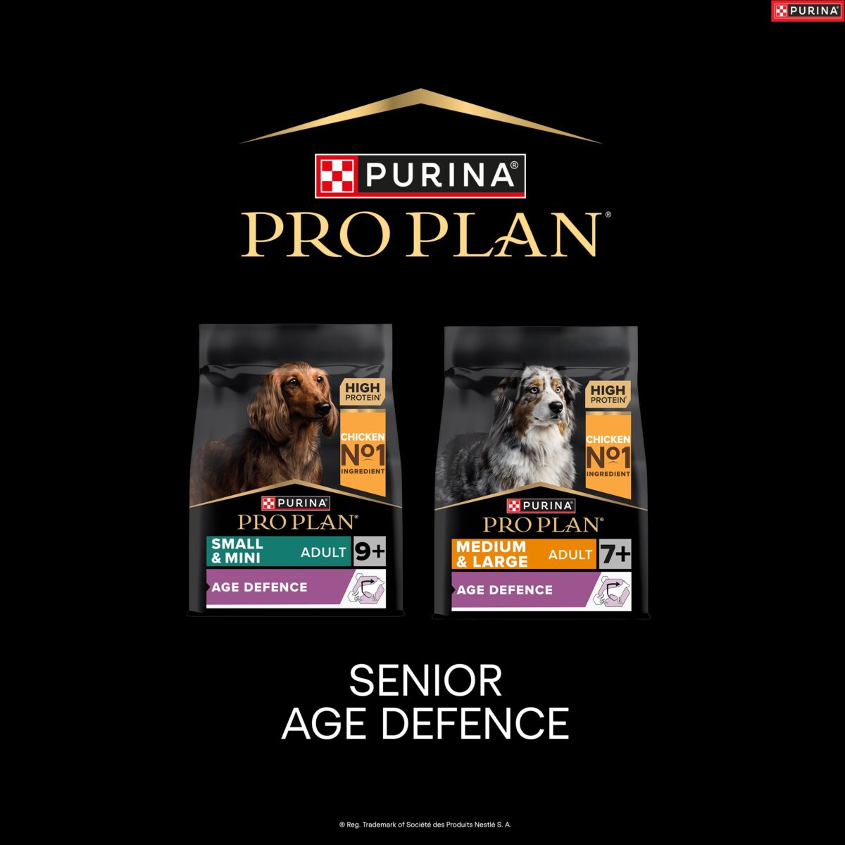 WIN a year's supply of PURINA® PRO PLAN® dog food - Dogfest